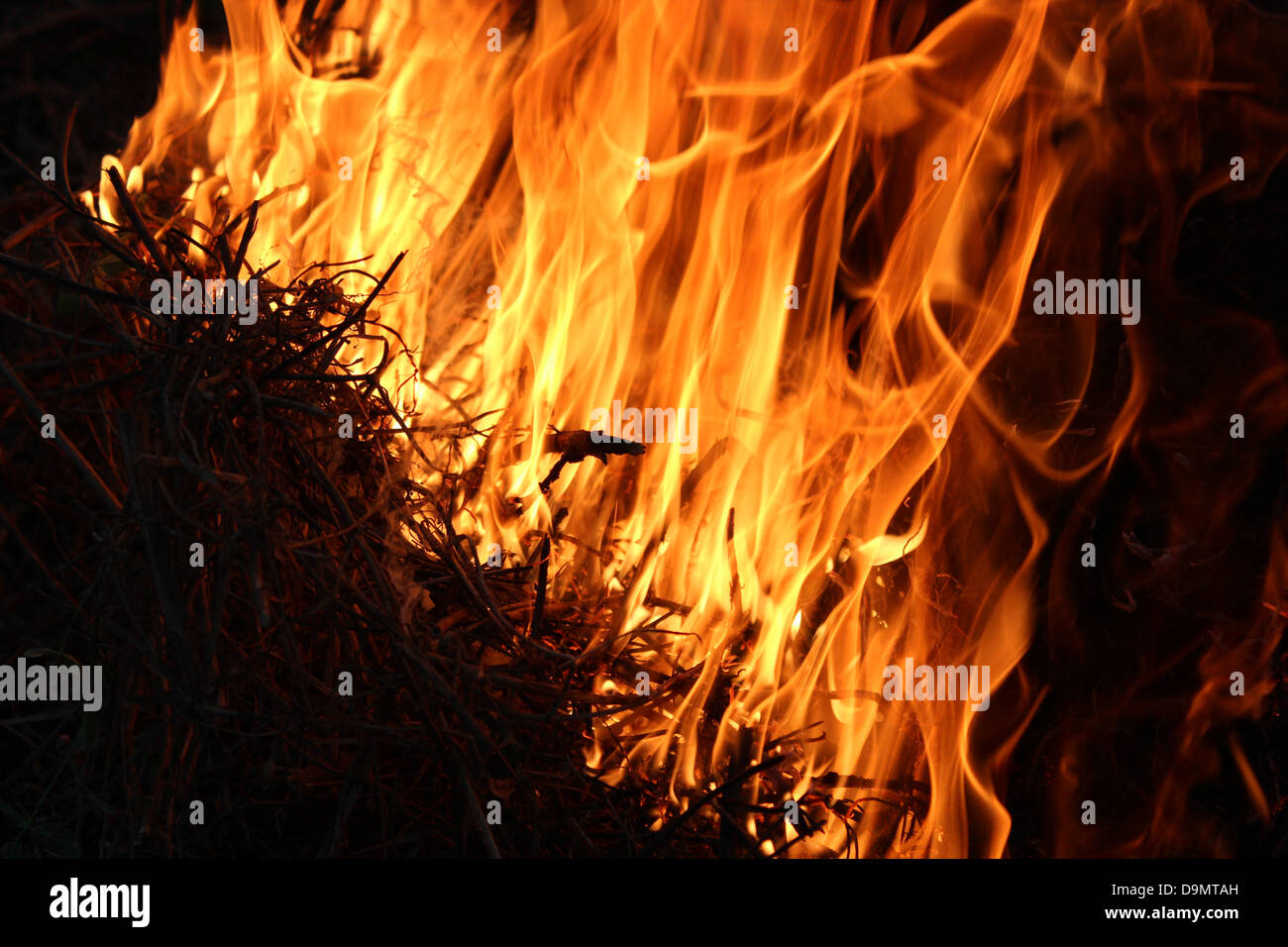 body of flame inflaming in a forest Stock Photo - Alamy