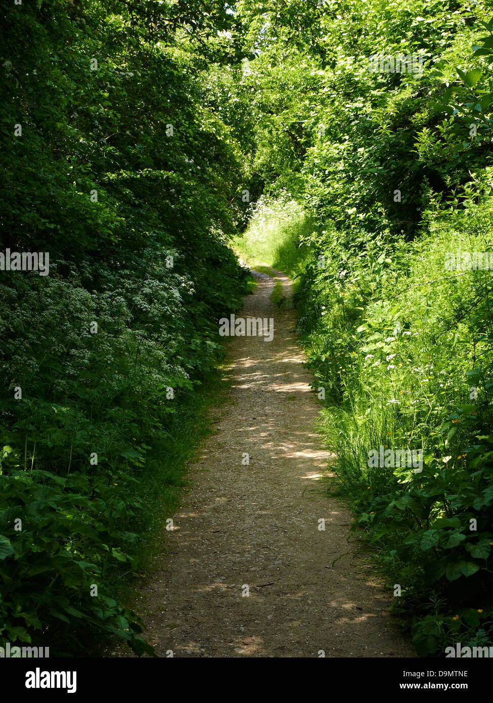 Public footpath in the Cheshire Countryside UK Stock Photo - Alamy