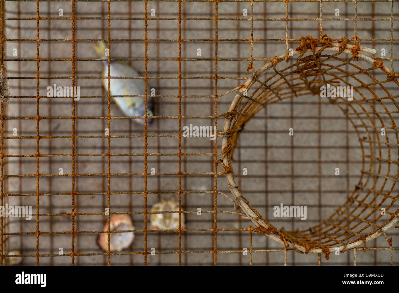 Fish cage hi-res stock photography and images - Alamy