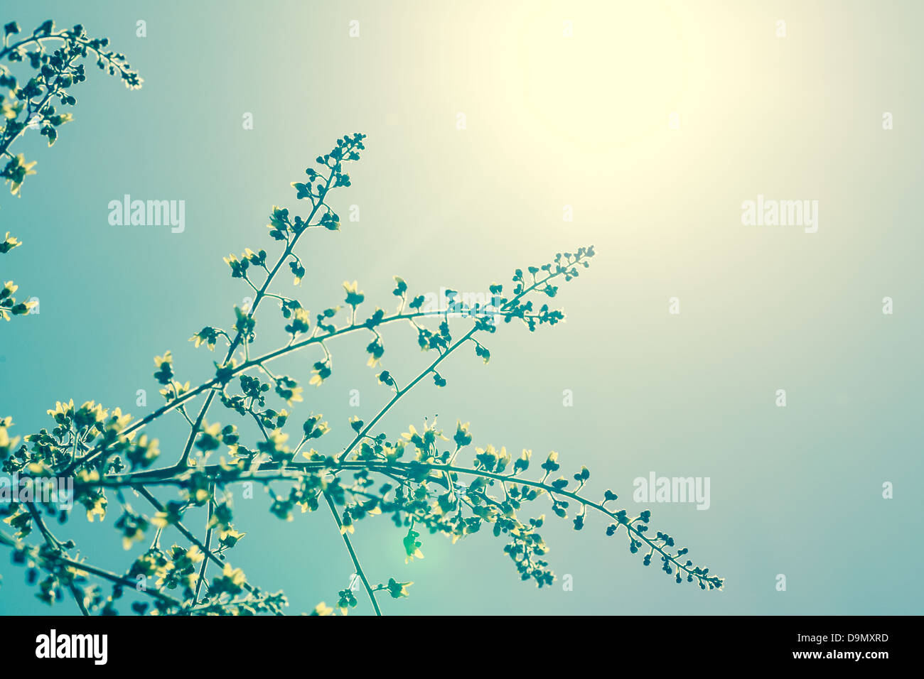 Faded color hi-res stock photography and images - Alamy