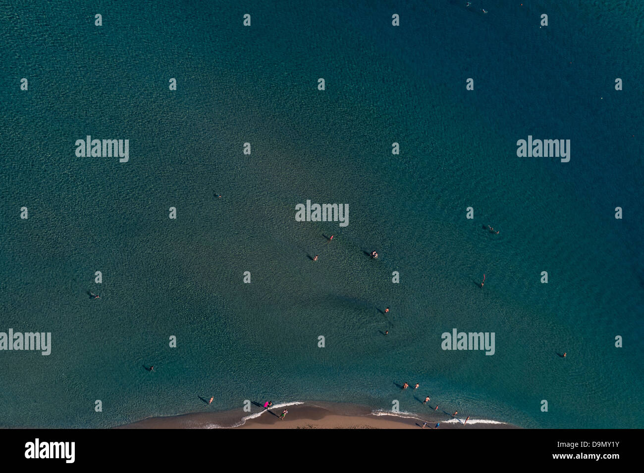 Bottom of bird view hi-res stock photography and images - Alamy