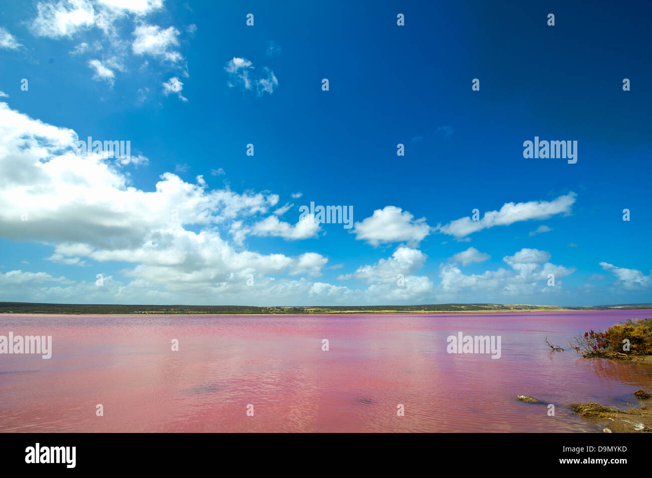 Port Gregory Pink Lake - west Australia Stock Photo - Alamy