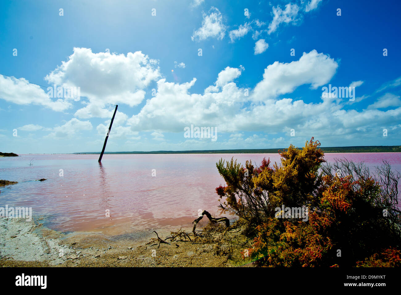 Port Gregory Pink Lake - west Australia Stock Photo - Alamy