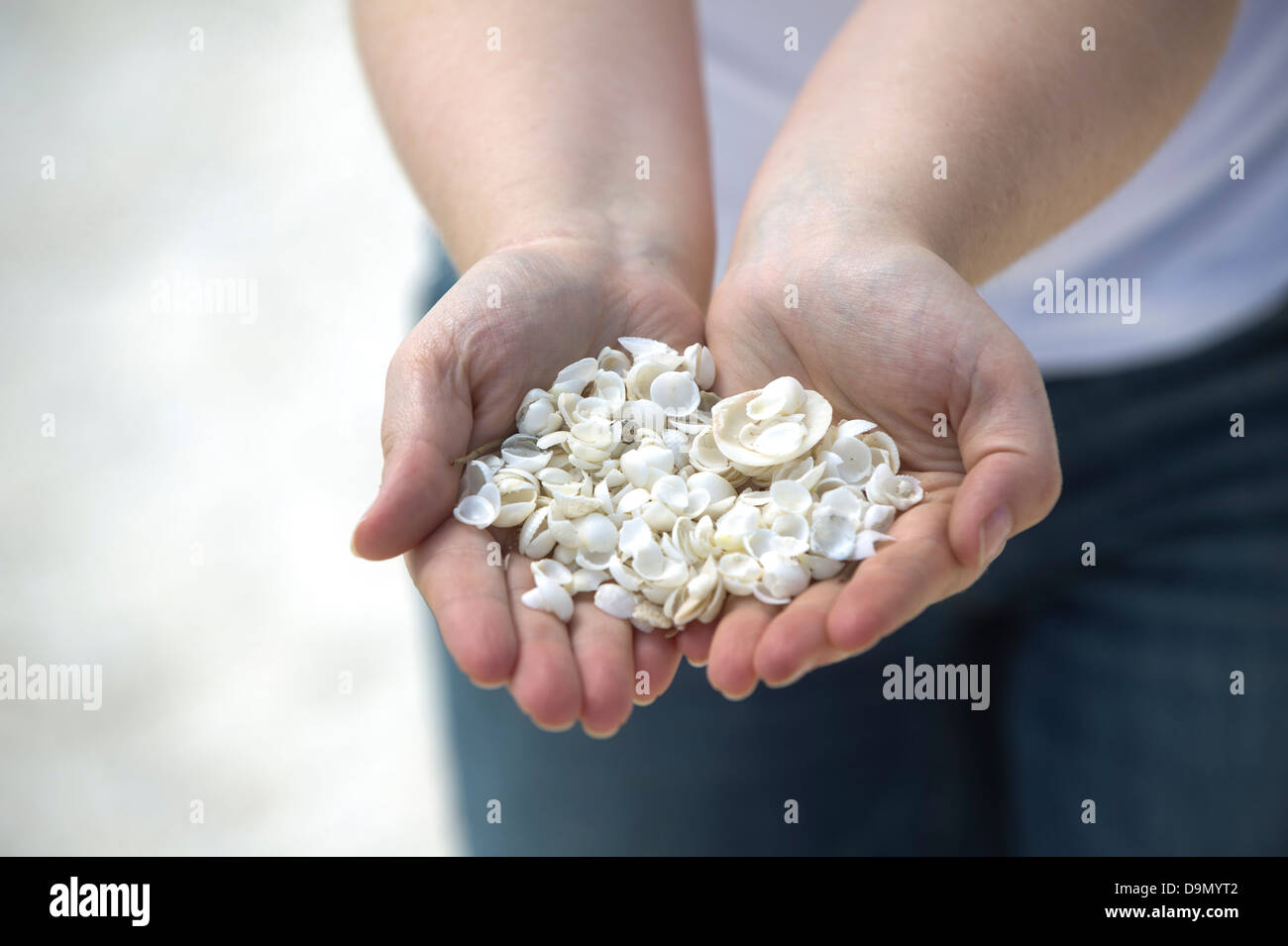 Mussels in the hand Stock Photo - Alamy