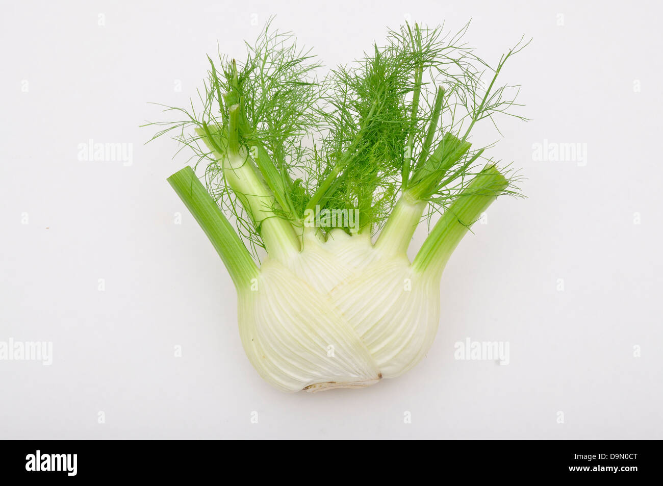 fennel, vegetables, vegetables Stock Photo - Alamy