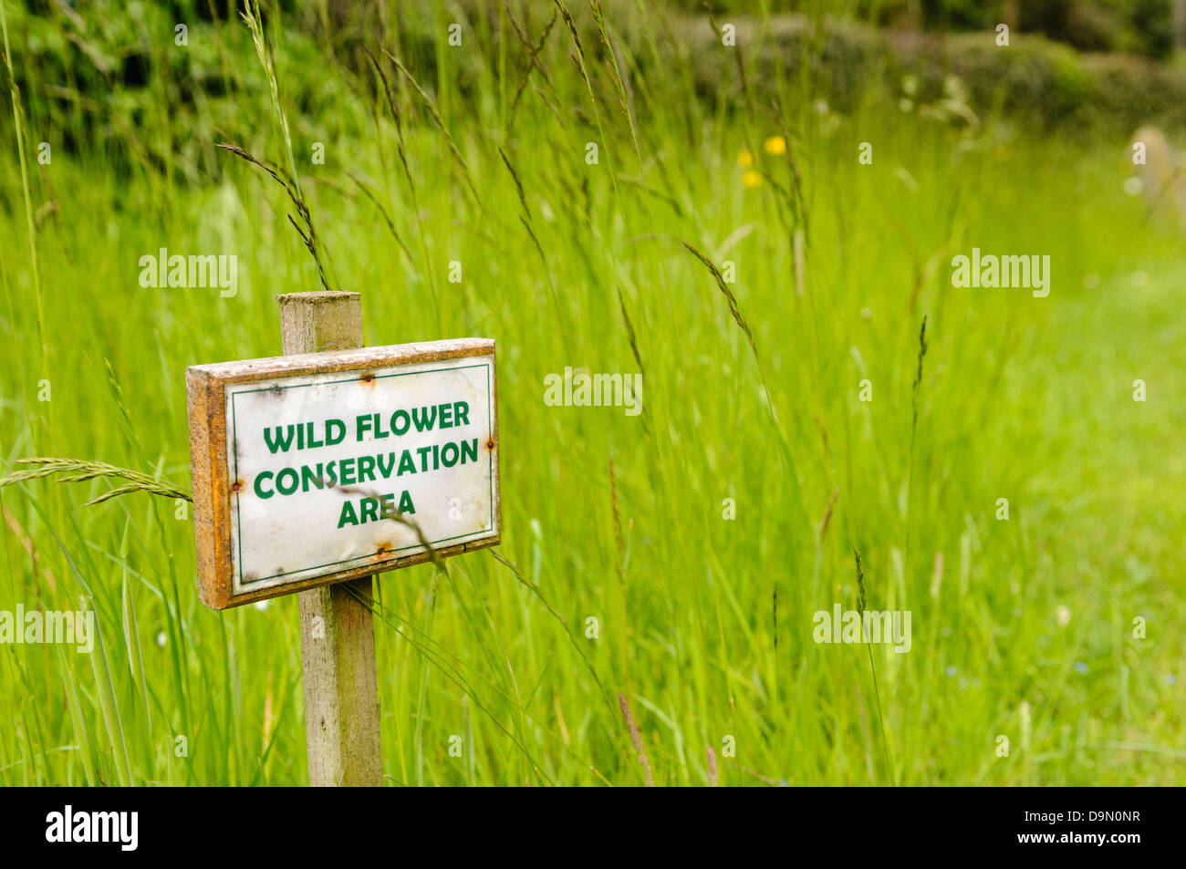 Sign at a wildflower conservation area Stock Photo - Alamy