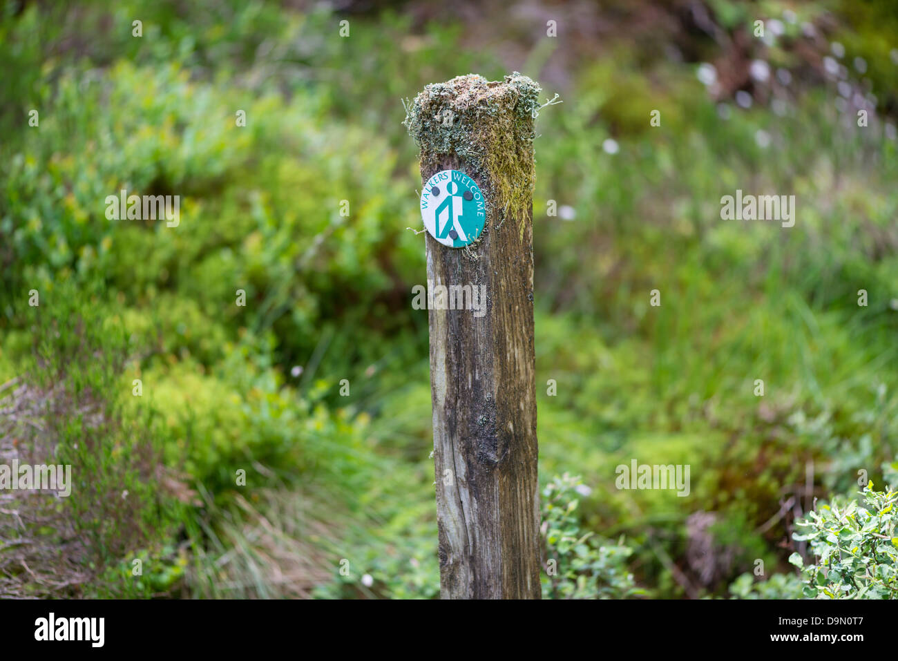 Walkers Welcome Sign High Resolution Stock Photography and Images - Alamy