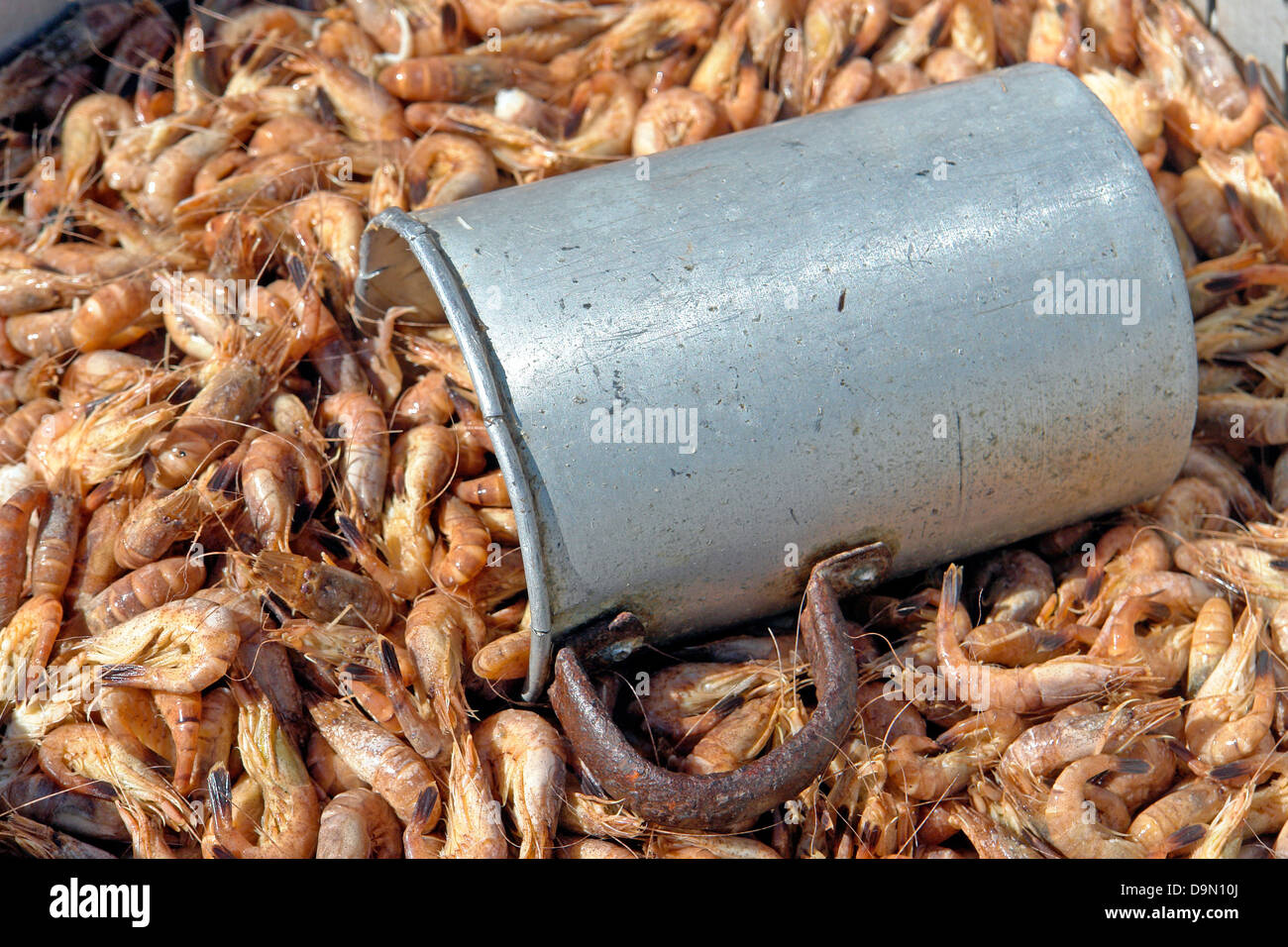 seafood, crabs, North Sea crabs, garnet, fish, shrimps, food Stock ...