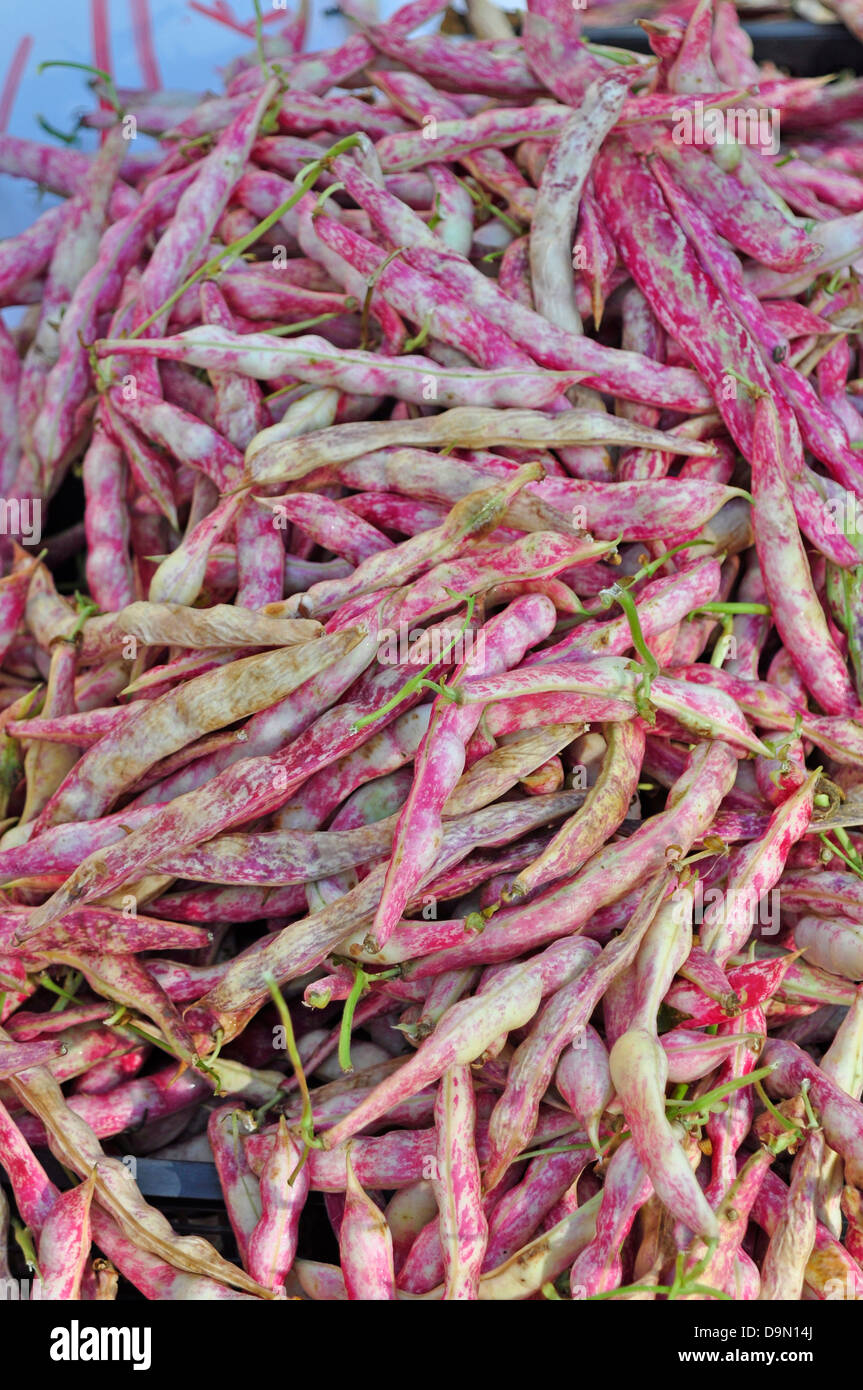 nord italia, Lombardy, lombardia, Lombardy, gardasee, lago Tu garda ...