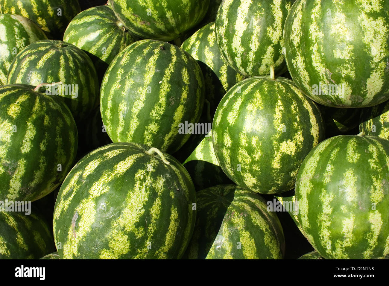 Big watermelons hi-res stock photography and images - Alamy