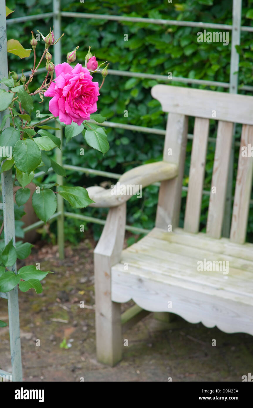 Rose garden bench hi-res stock photography and images - Alamy