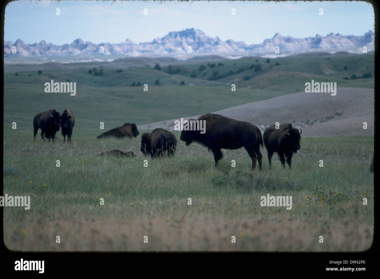 Badlands National Park, located in South Dakota, is known for its ...