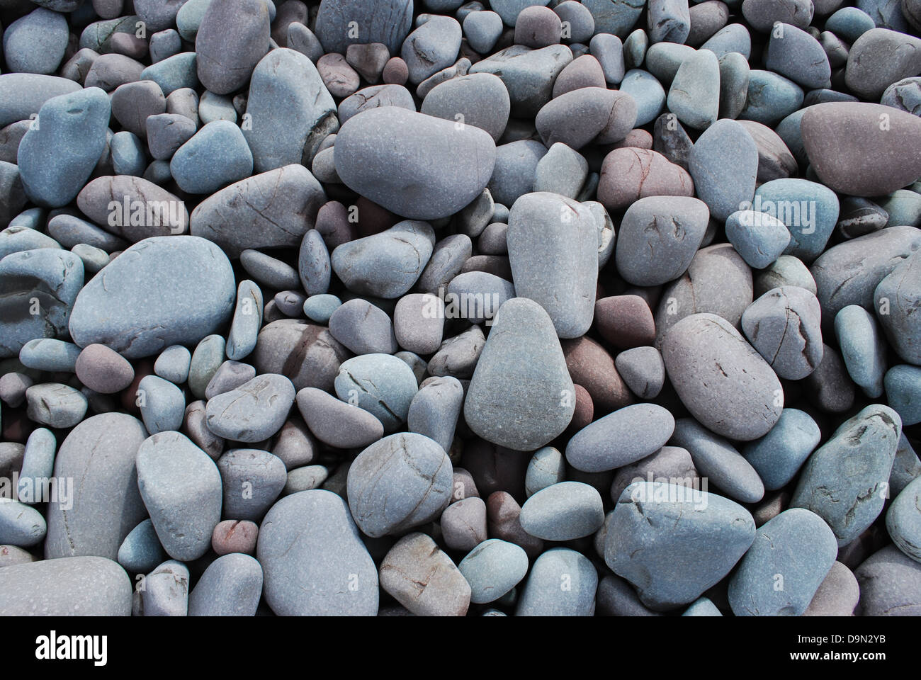 Smooth pebbles on a beach in Somerset, England Stock Photo - Alamy