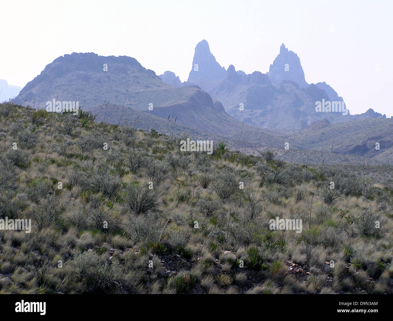 Big Bend National Park, located in Texas, is known for its desert ...