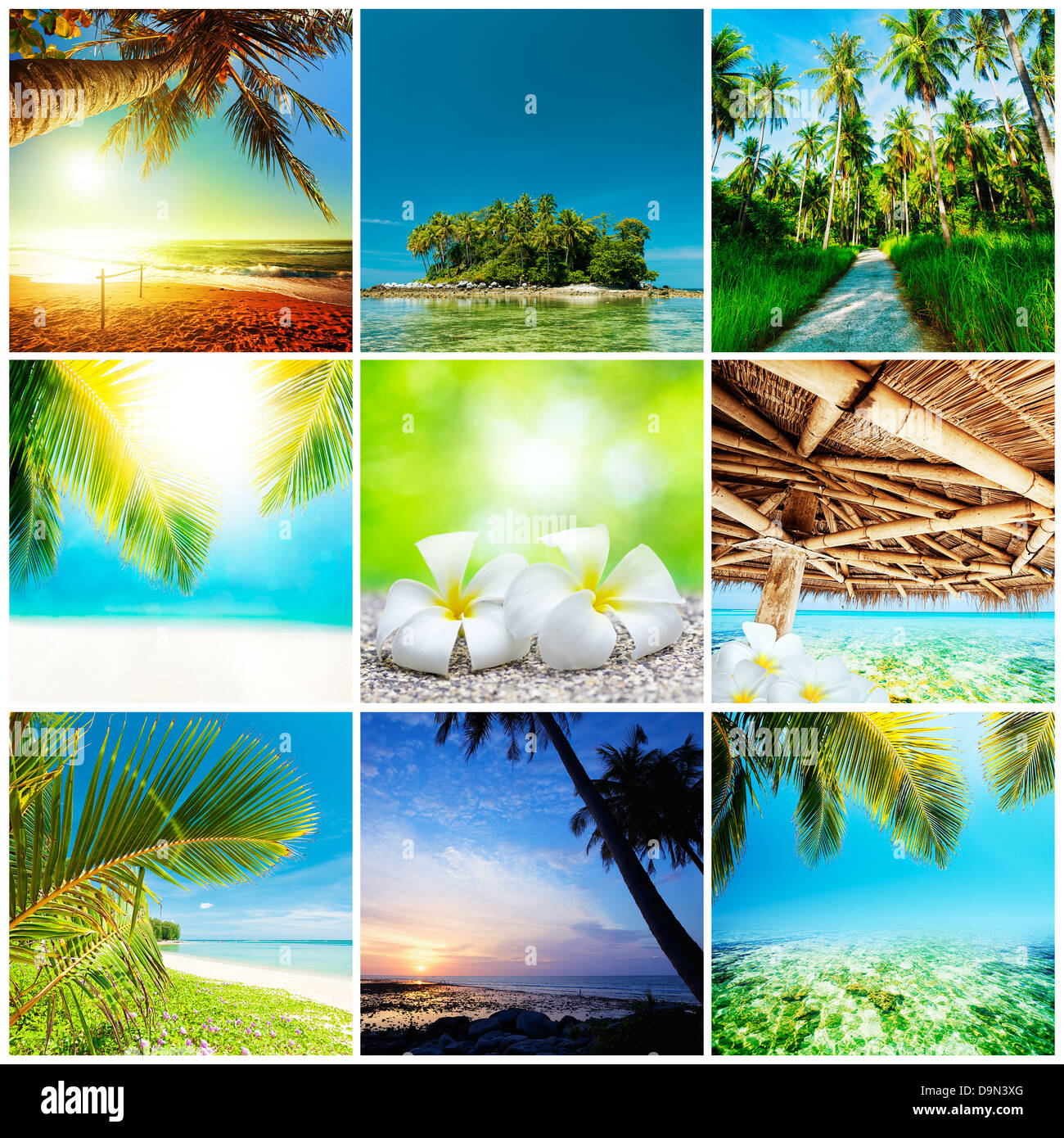 Collection nature hi-res stock photography and images - Alamy