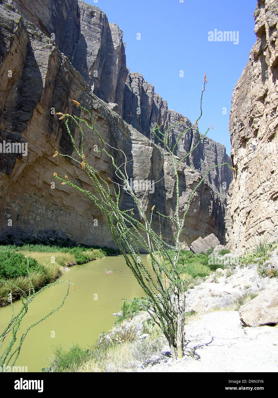 Big Bend National Park in Texas is known for its dramatic desert ...