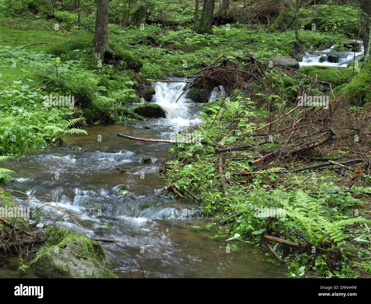stream / woodstream / foreststream / Bach / Waldbach Stock Photo - Alamy