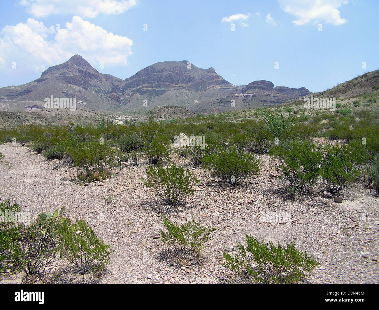 Big Bend National Park is located in Texas and is known for its ...