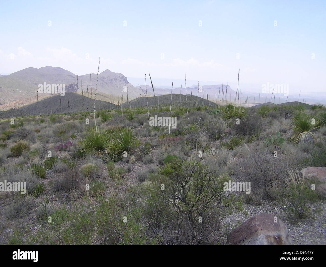 Big Bend National Park in Texas features diverse landscapes, from ...