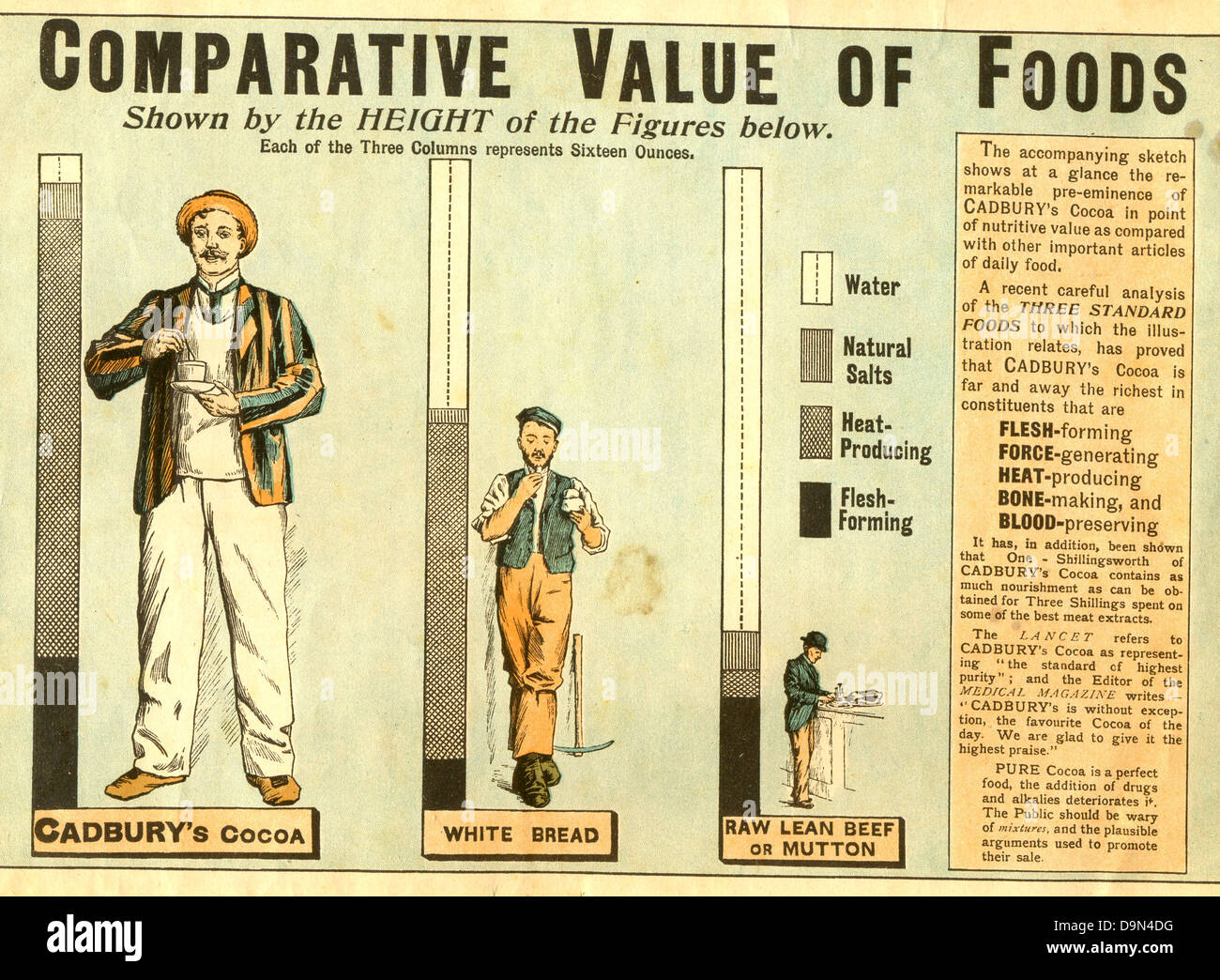 Advertisement by Cadbury's cocoa showing the comparative value of foods ...
