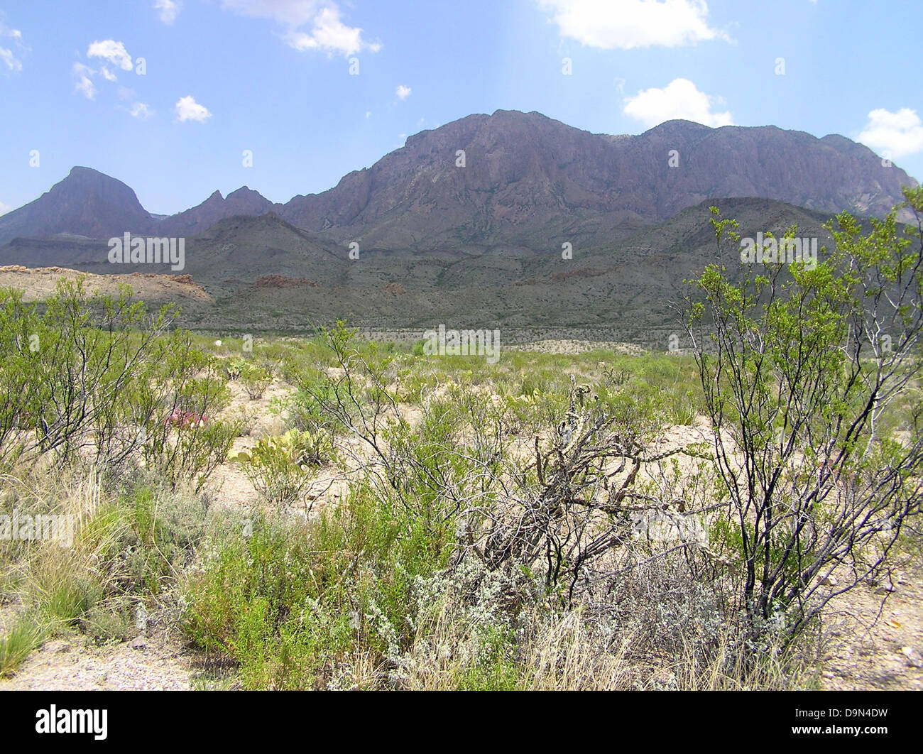 Big Bend National Park, located in Texas, is known for its vast desert ...