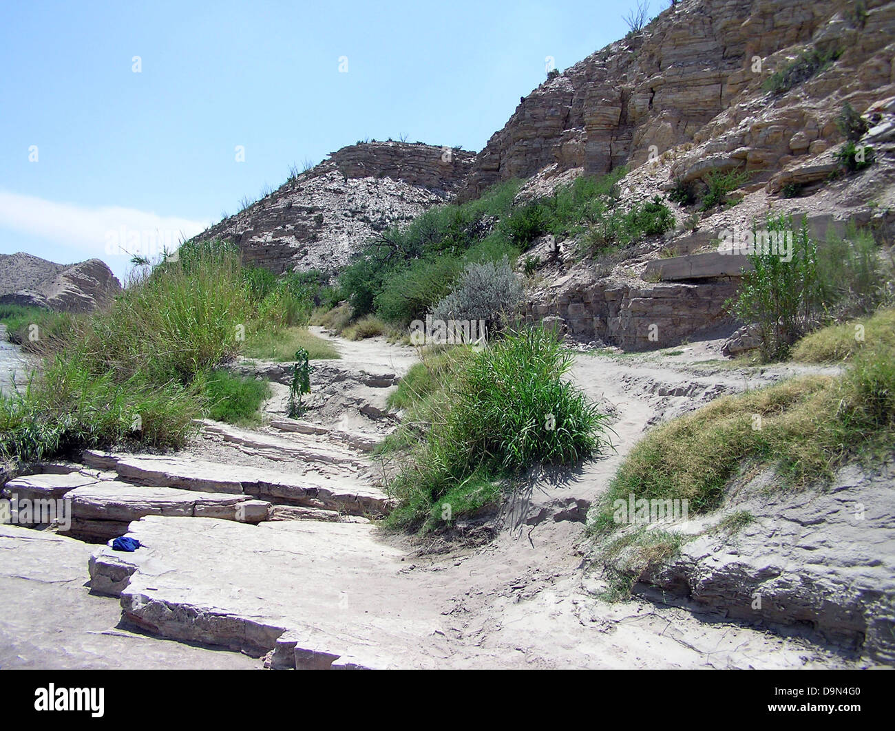 Big Bend National Park, located in Texas, is known for its diverse ...