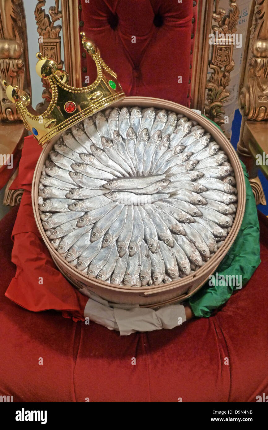 saraghina, sprattus sprattus, sprat Stock Photo - Alamy