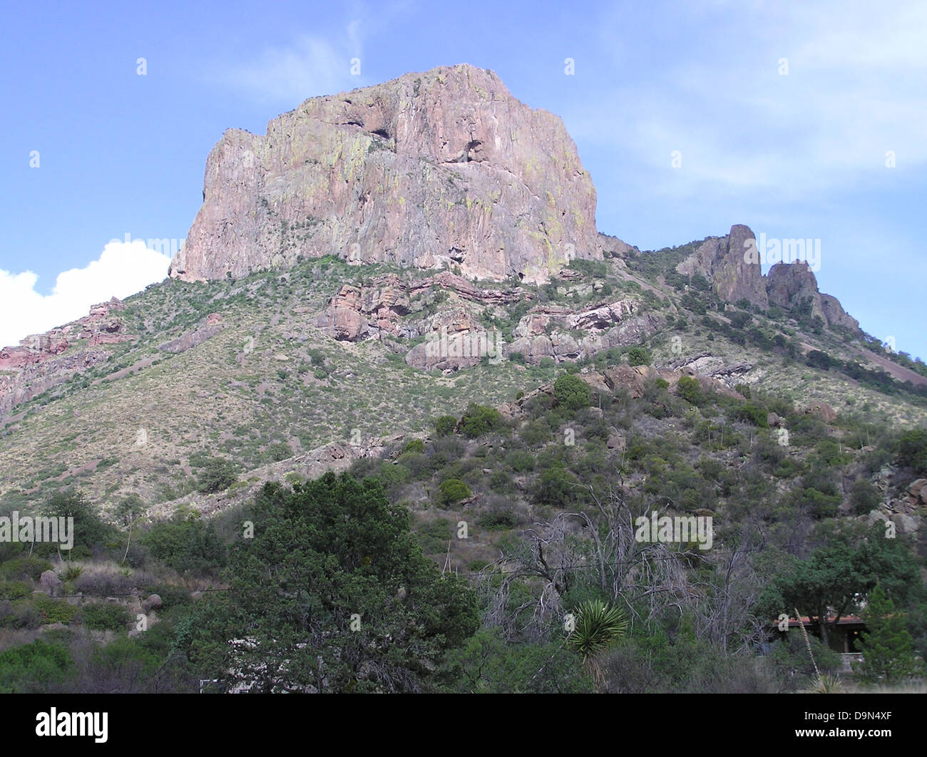 Big Bend National Park in Texas features diverse landscapes, including ...