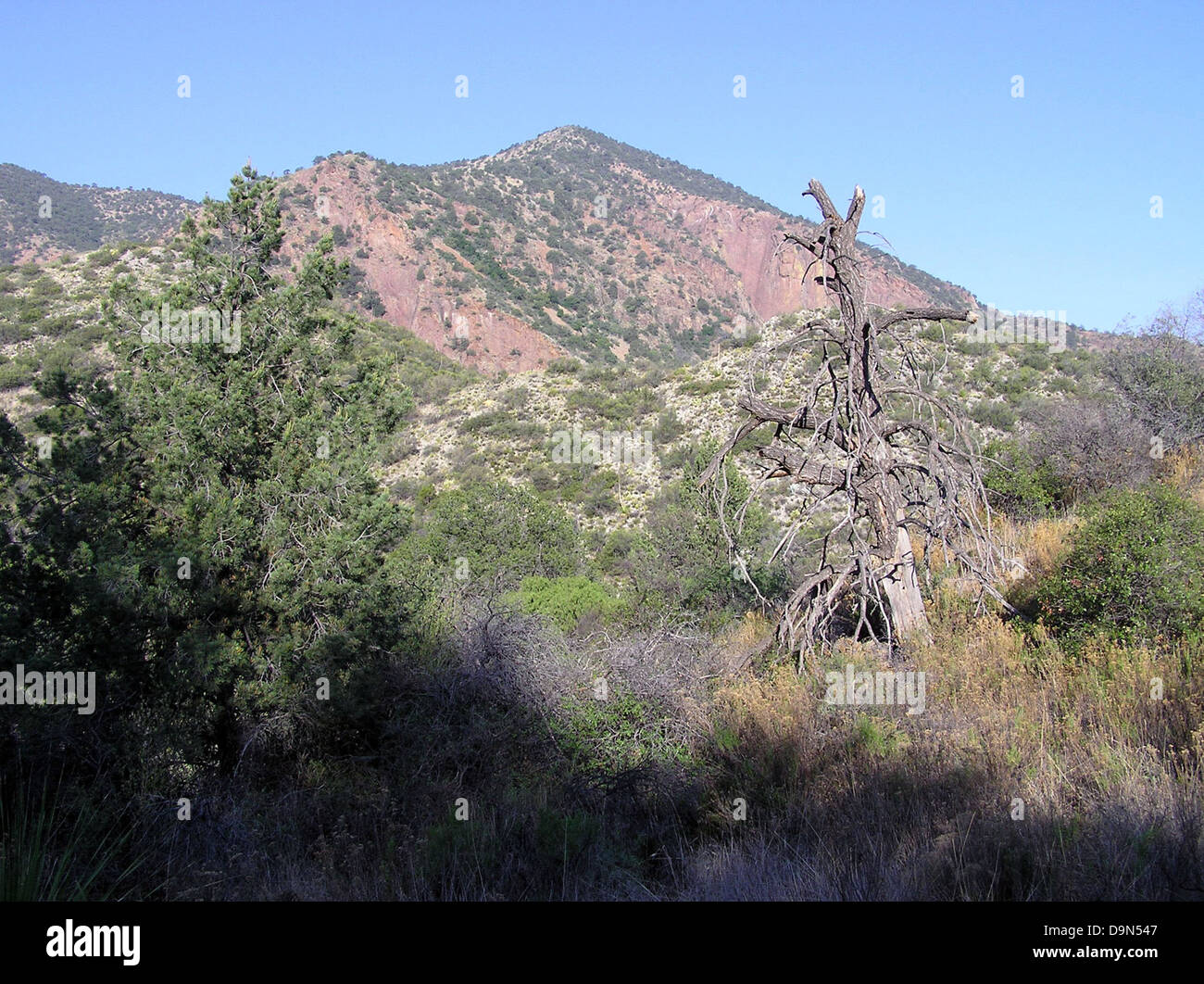Big Bend National Park, located in Texas, is known for its dramatic ...