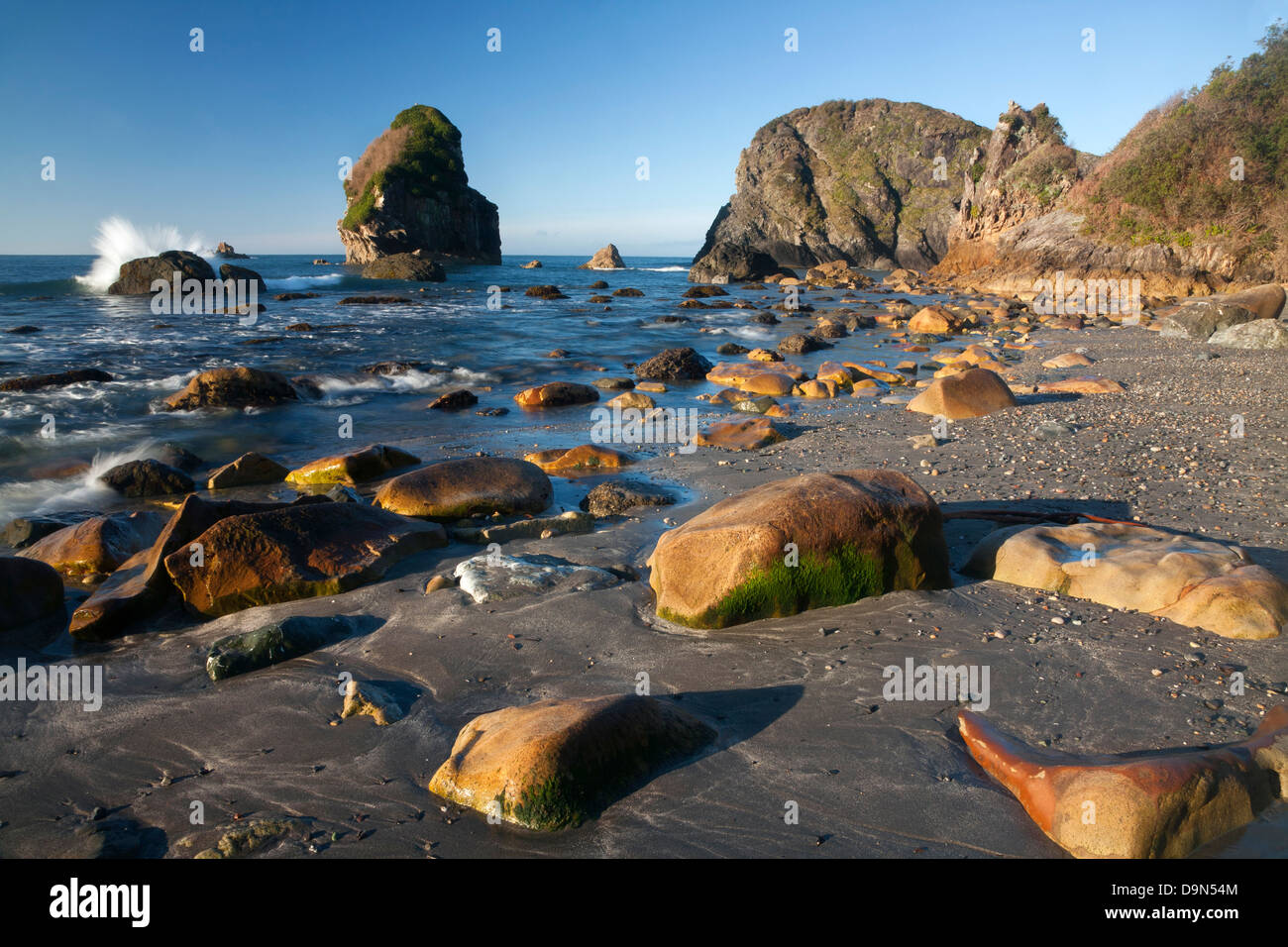 OR01084-00...OREGON - Colorful boulders on Rock Beach at the edge of ...