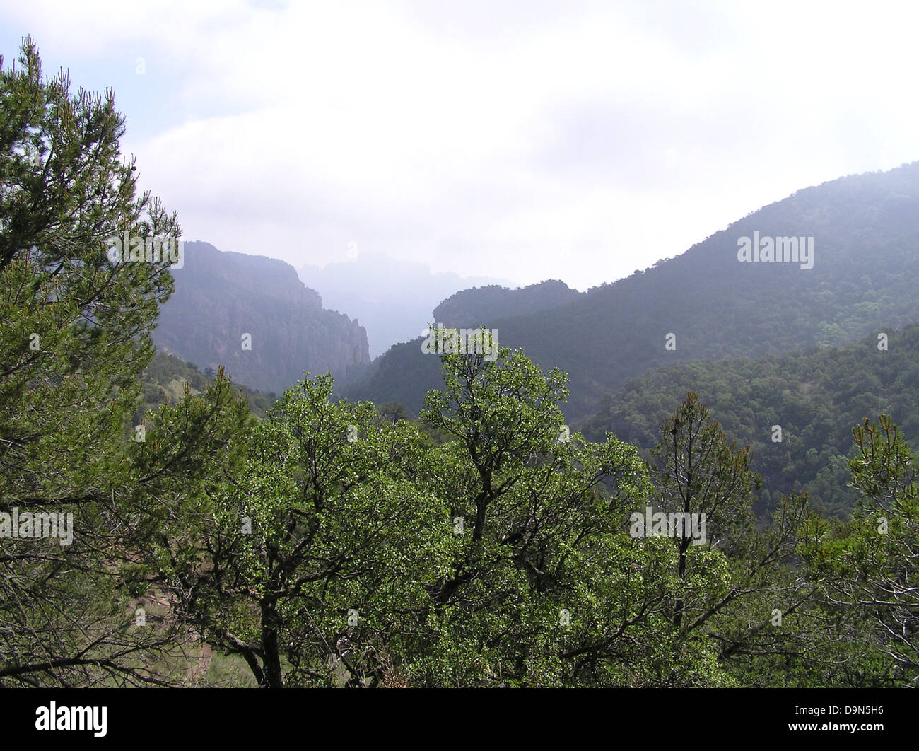 Big Bend National Park in Texas features dramatic desert landscapes ...