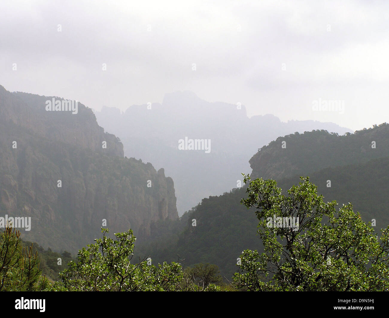 Big Bend National Park in Texas features diverse ecosystems, including ...