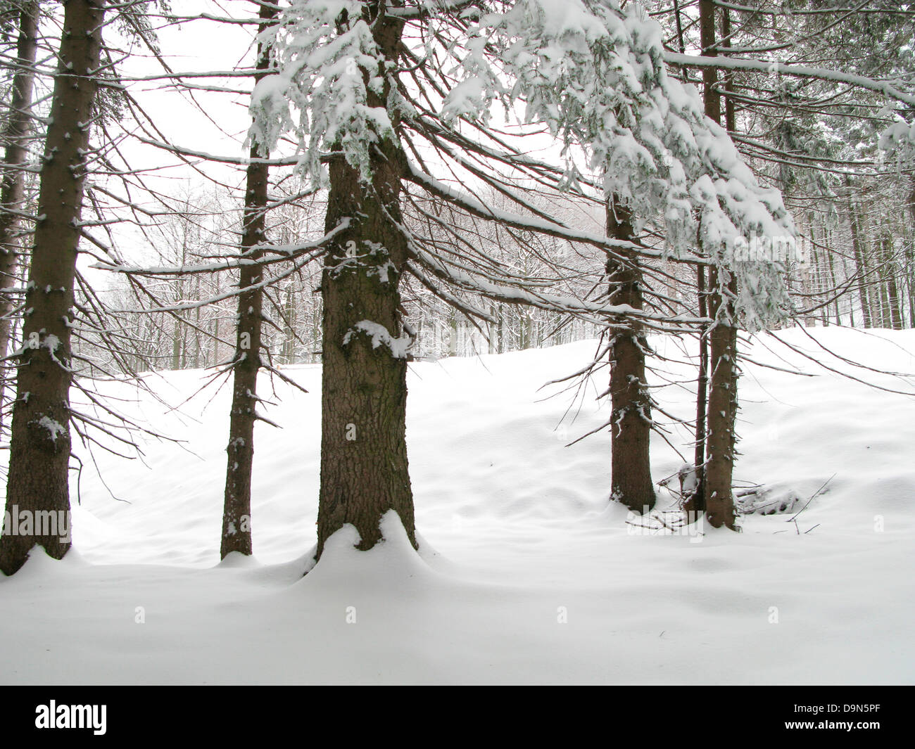 Alpe di mera italy hi-res stock photography and images - Alamy
