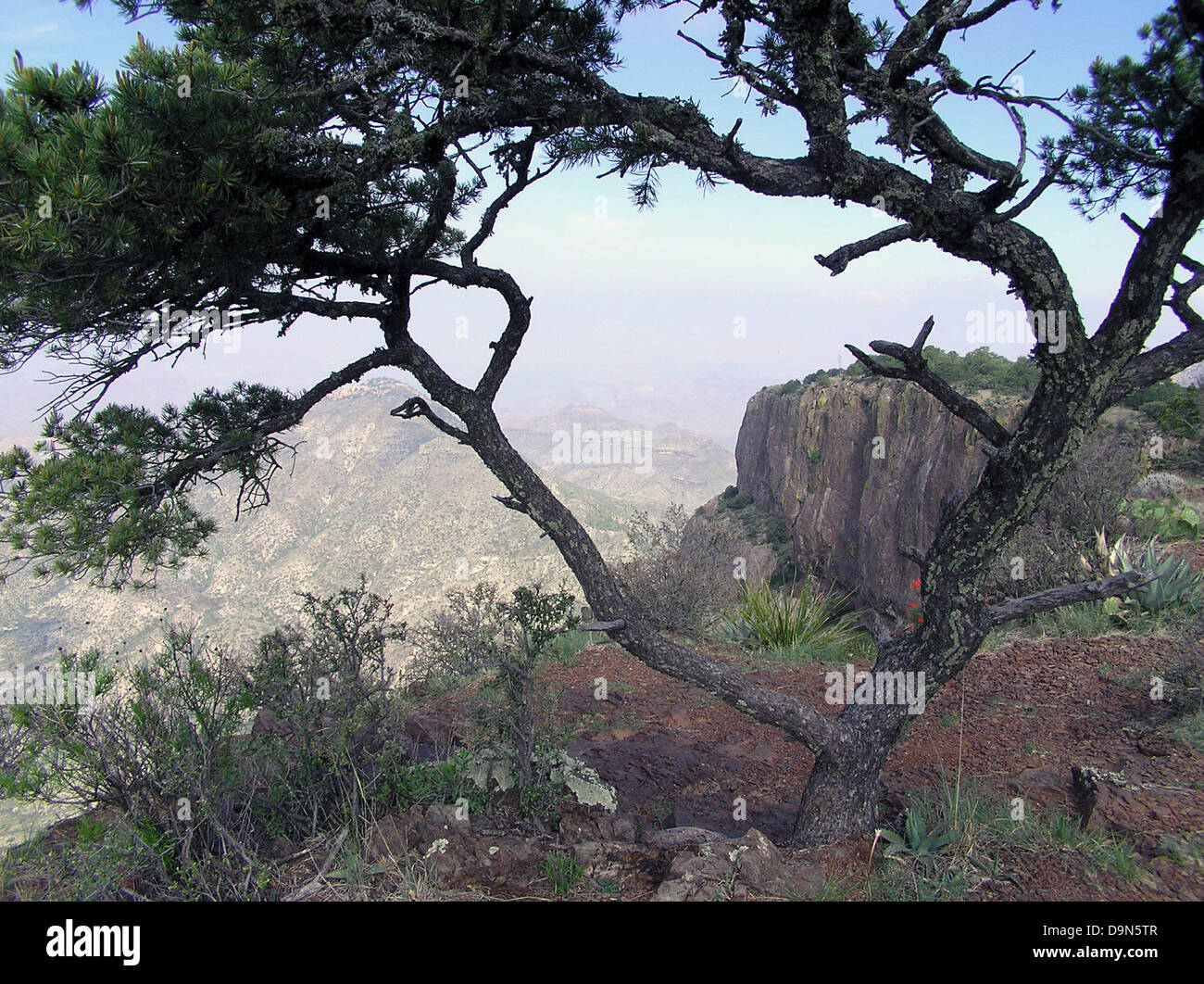 Big Bend National Park, located in Texas, is known for its desert ...
