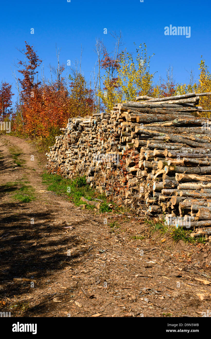 Pulp wood hi-res stock photography and images - Alamy