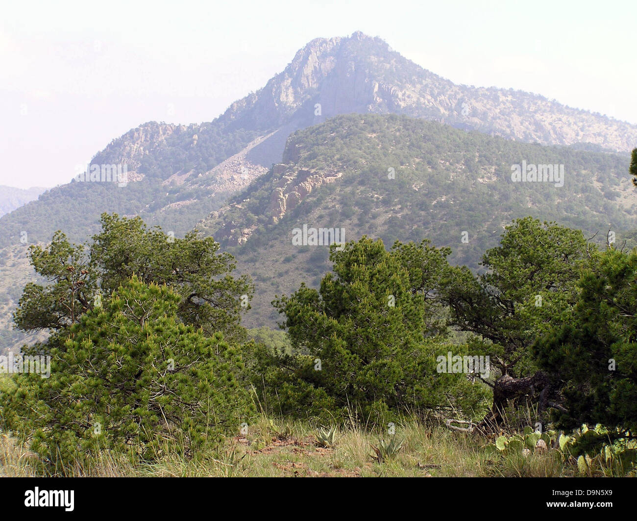 Big Bend National Park in Texas is known for its vast desert landscapes ...