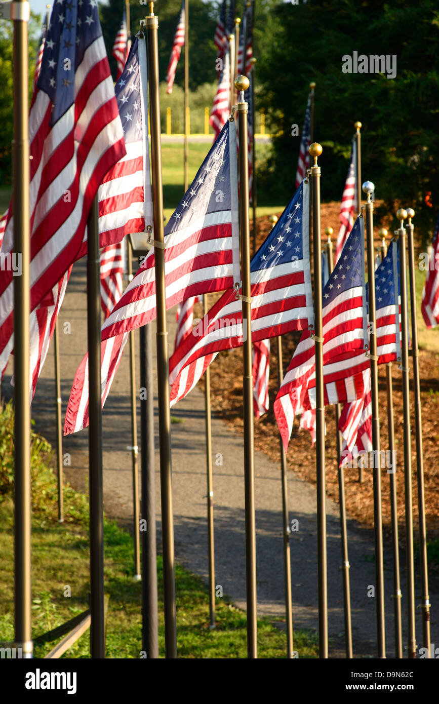 American flag display at Veterans Park. Each pole is engraved with the ...