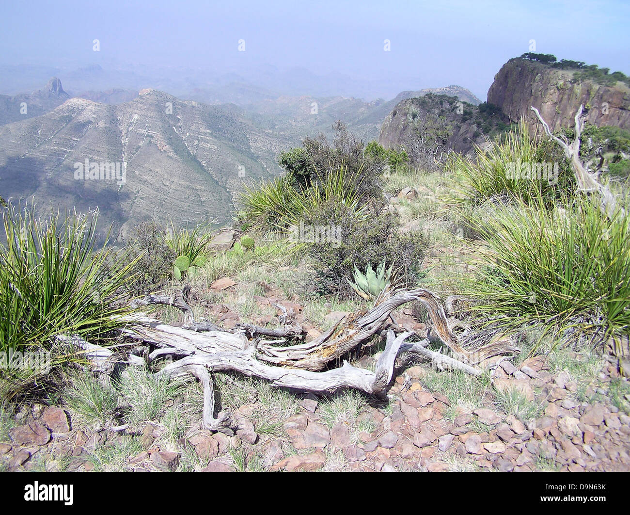 Big Bend National Park in Texas is known for its diverse ecosystems ...