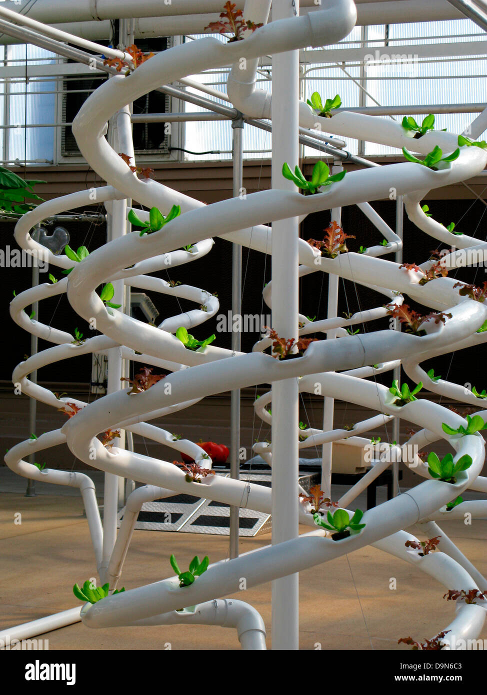 hydroponic cultivations,epcot center,orlando,florida,usa Stock Photo ...