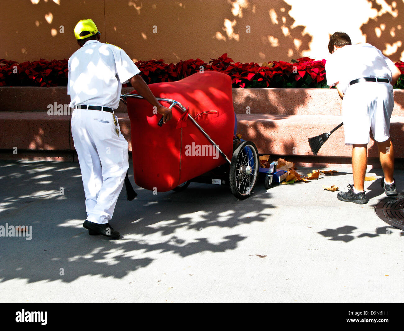 collection of leaves with vacuum Stock Photo - Alamy