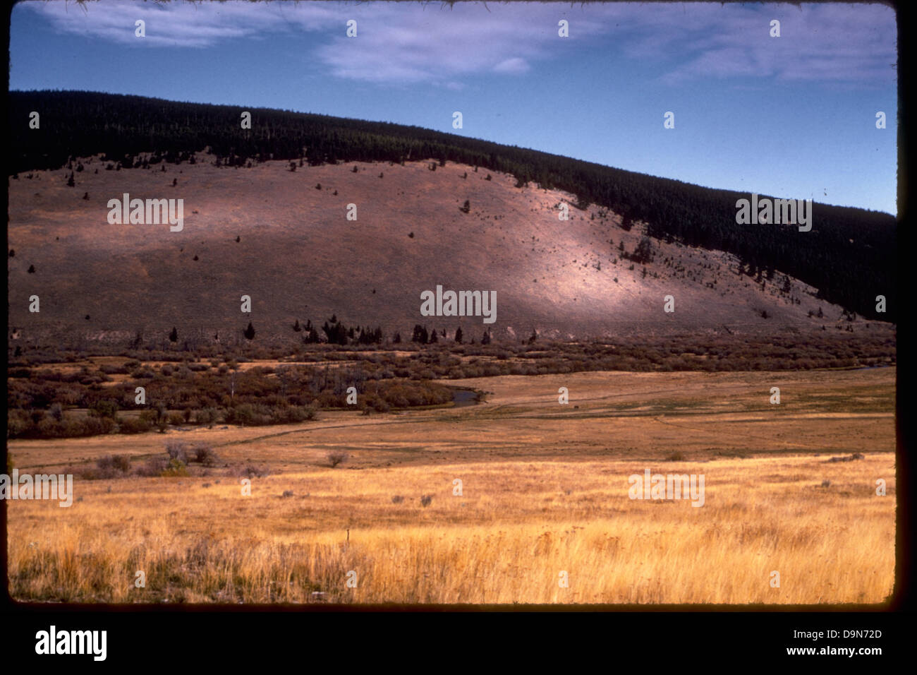 Big Hole National Battlefield BIHO0640 Stock Photo - Alamy