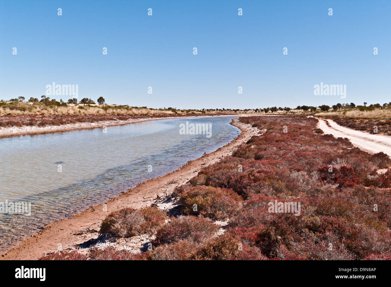 SAVORY CREEK, CANNING STOCK ROUTE, LITTLE SANDY DESERT, WESTERN ...