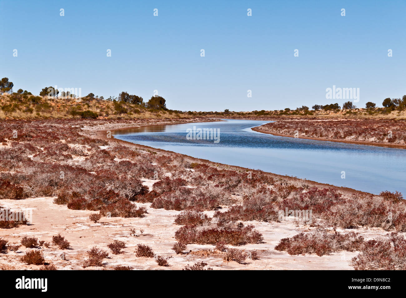 SAVORY CREEK, CANNING STOCK ROUTE, LITTLE SANDY DESERT, WESTERN ...