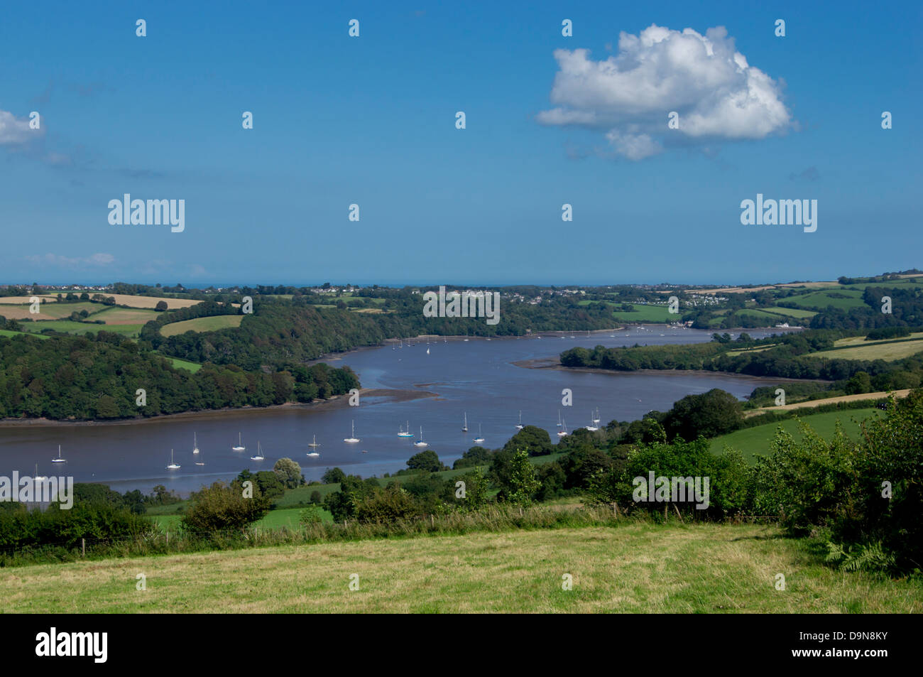 Uk devon river summer dittisham hi-res stock photography and images - Alamy