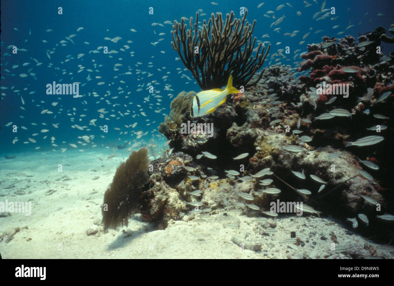Biscayne national park service hi-res stock photography and images - Alamy