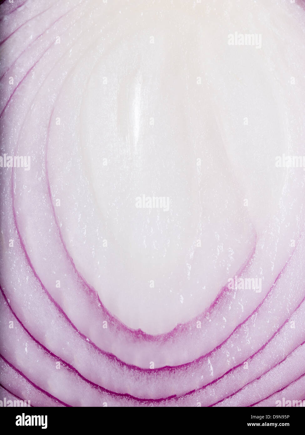 Red onion background Stock Photo - Alamy