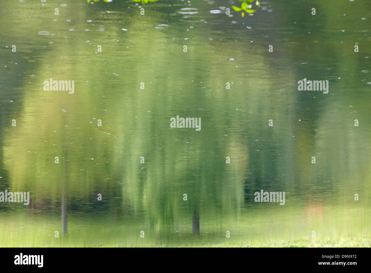 Inverted tree hi-res stock photography and images - Alamy