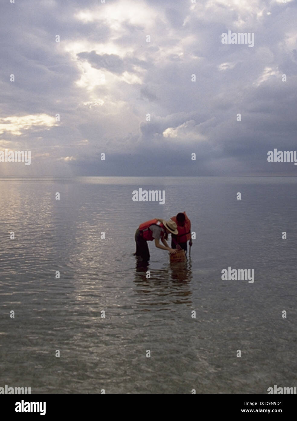 At Biscayne National Park, children can engage in the Junior Ranger ...