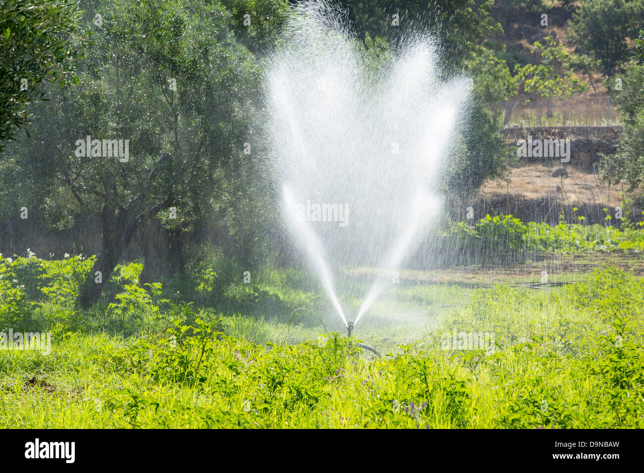 Irrigating crops hi-res stock photography and images - Alamy