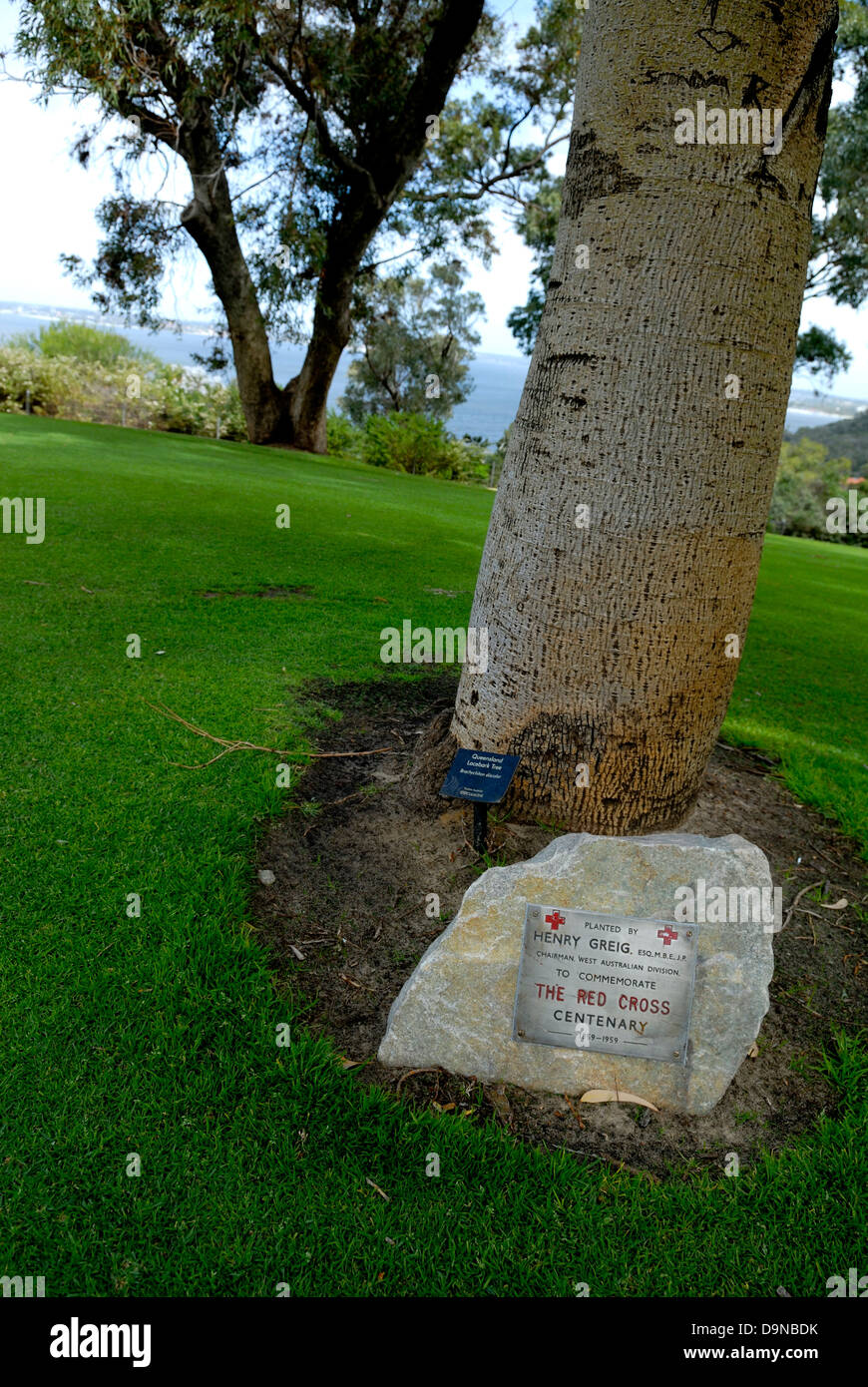Tree and plaque commemorating the centenary of the Red Cross (1859 ...